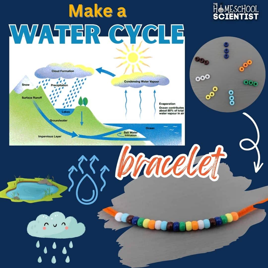 Water Cycle Bracelet - The Homeschool Scientist