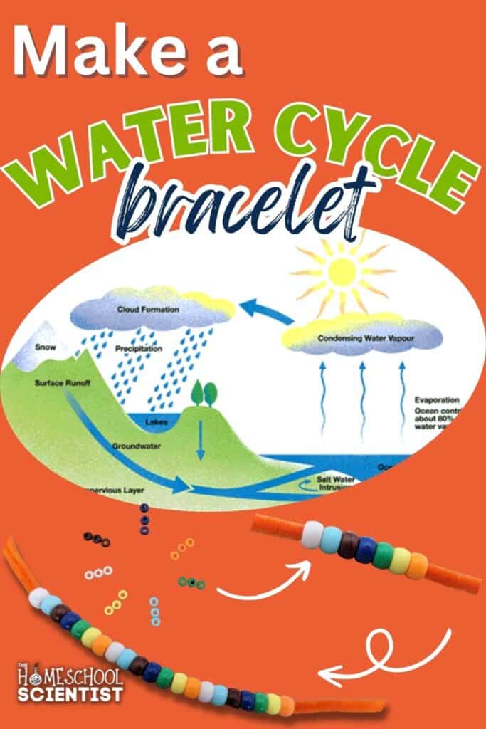 Water Cycle Bracelet - The Homeschool Scientist