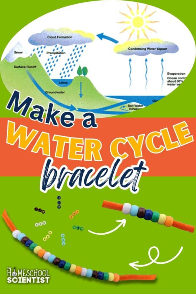 Water Cycle Bracelet - The Homeschool Scientist