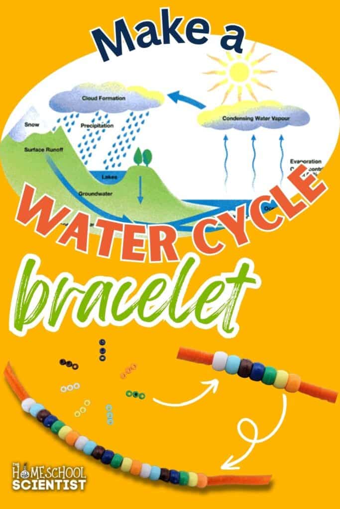Water Cycle Bracelet - The Homeschool Scientist