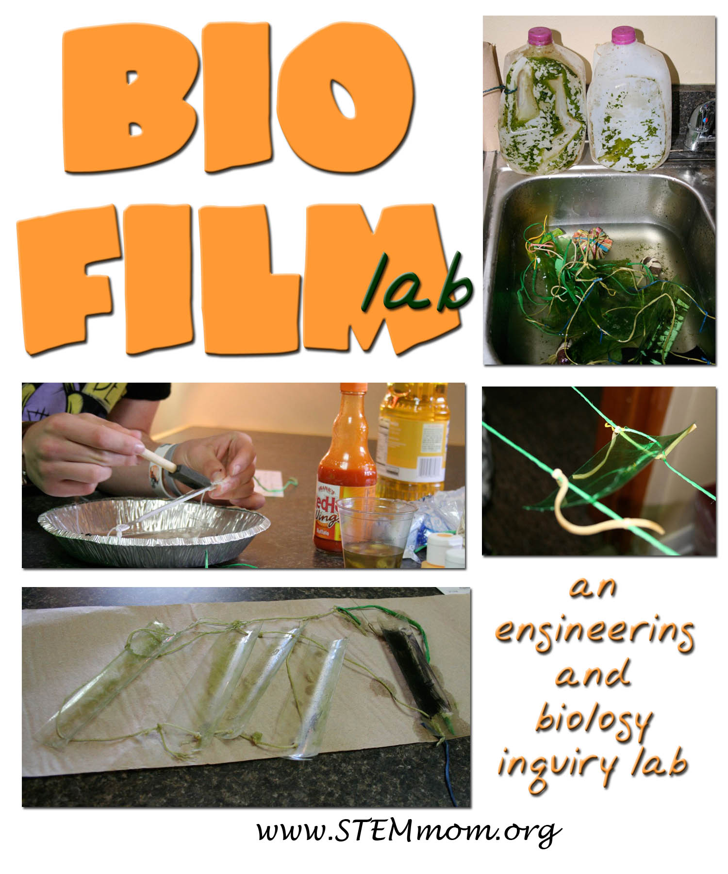 biology - The Homeschool Scientist