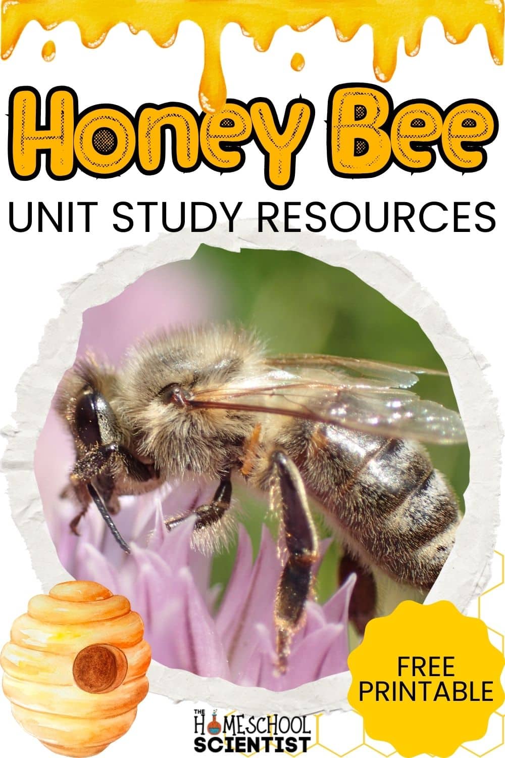 Honey Bee Unit Study Resources - The Homeschool Scientist