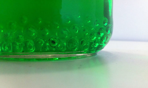 Squishy Science Experiment With Warblettes - The Homeschool Scientist