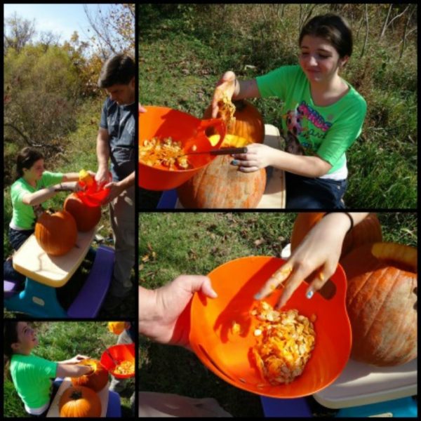 Pumpkin Unit Study Resources - The Homeschool Scientist
