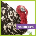 Turkey Unit Study Resources - The Homeschool Scientist