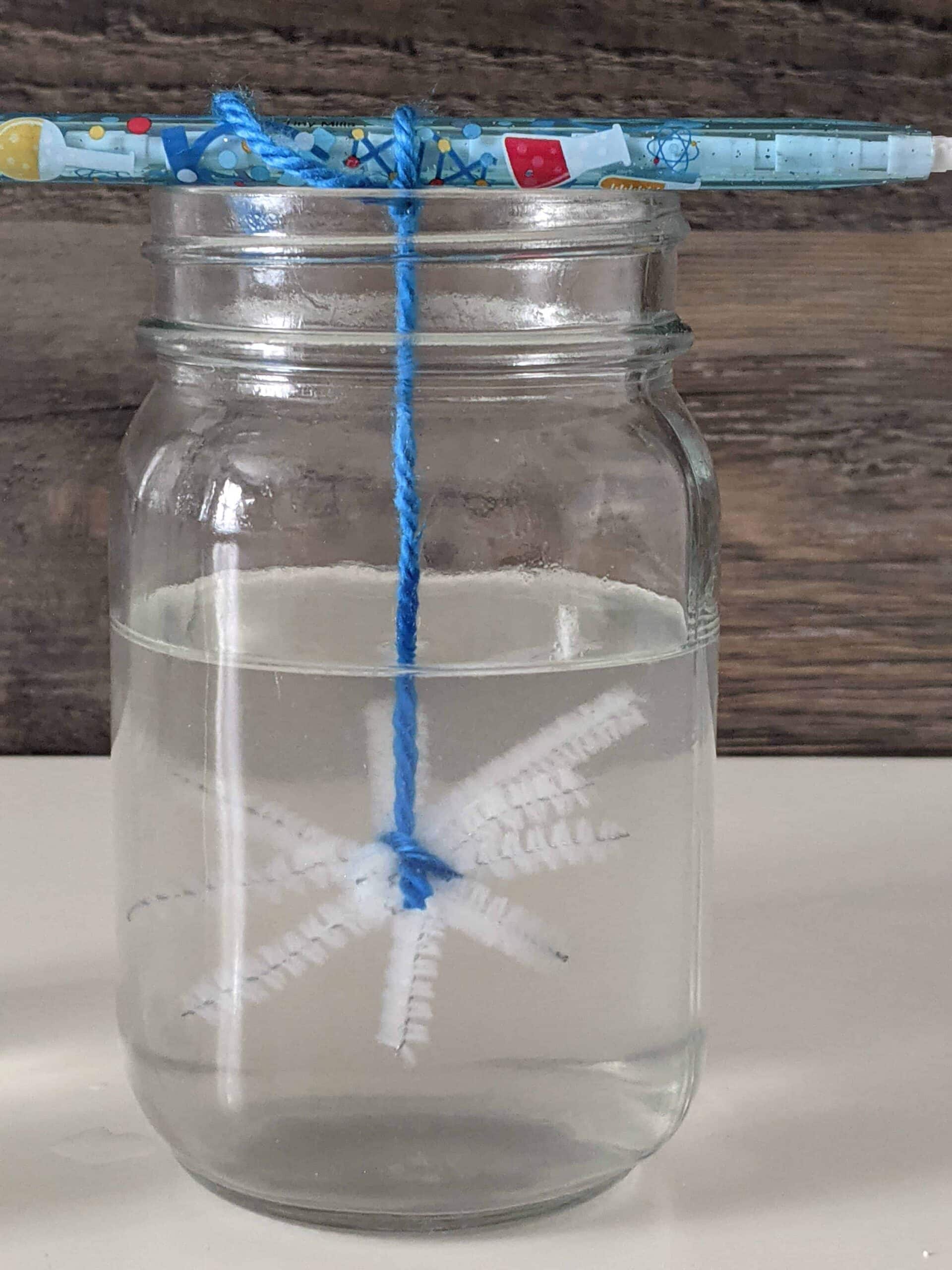 Make Crystal Snowflakes with Borax - The Homeschool Scientist