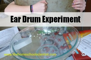 Senses Experiments - The Homeschool Scientist