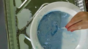 Magic Milk Fireworks - Kids Love This Activity! - The Homeschool Scientist