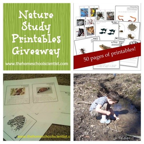 Nature Study Printables - The Homeschool Scientist