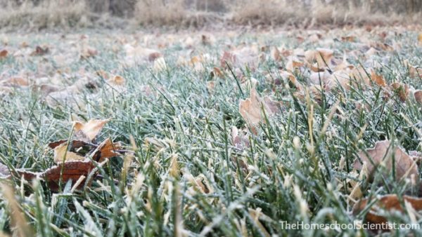 The Science Of Frost - The Homeschool Scientist