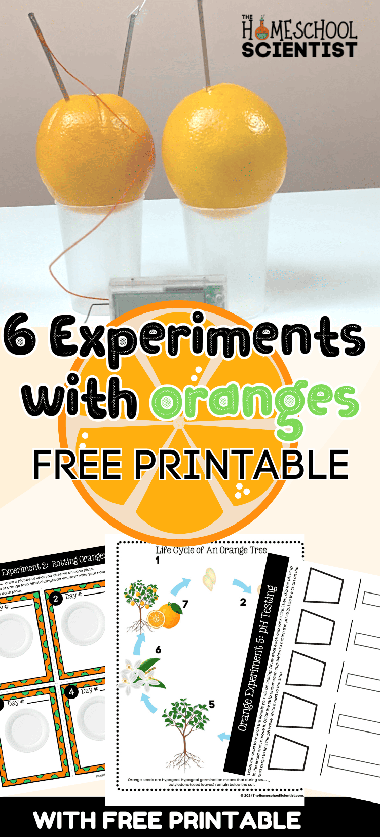 Easy Science Experiments with Oranges - The Homeschool Scientist