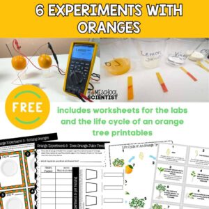 Easy Science Experiments with Oranges - The Homeschool Scientist