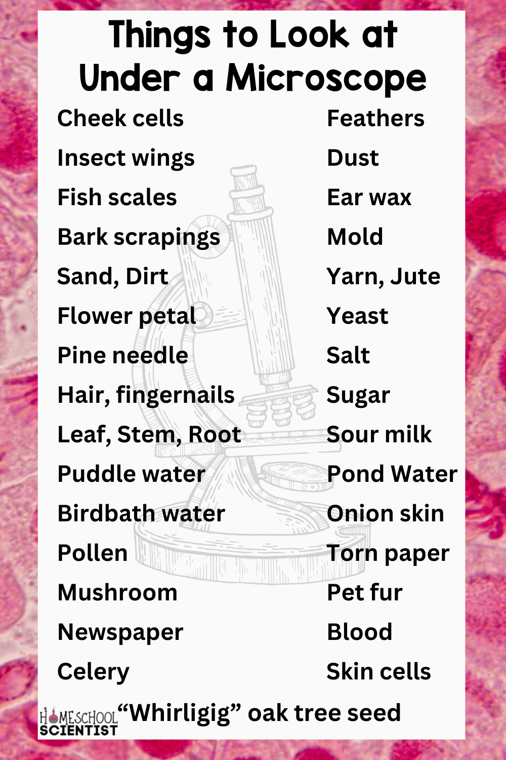 60 Things to Look at Under a Microscope - The Homeschool Scientist