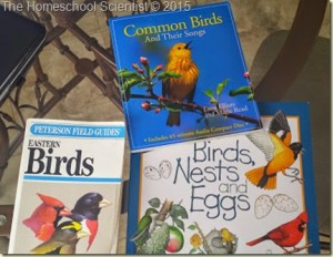 100 Summer Science Activities - The Homeschool Scientist