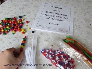 Make Your Own Vertebrate Model - The Homeschool Scientist