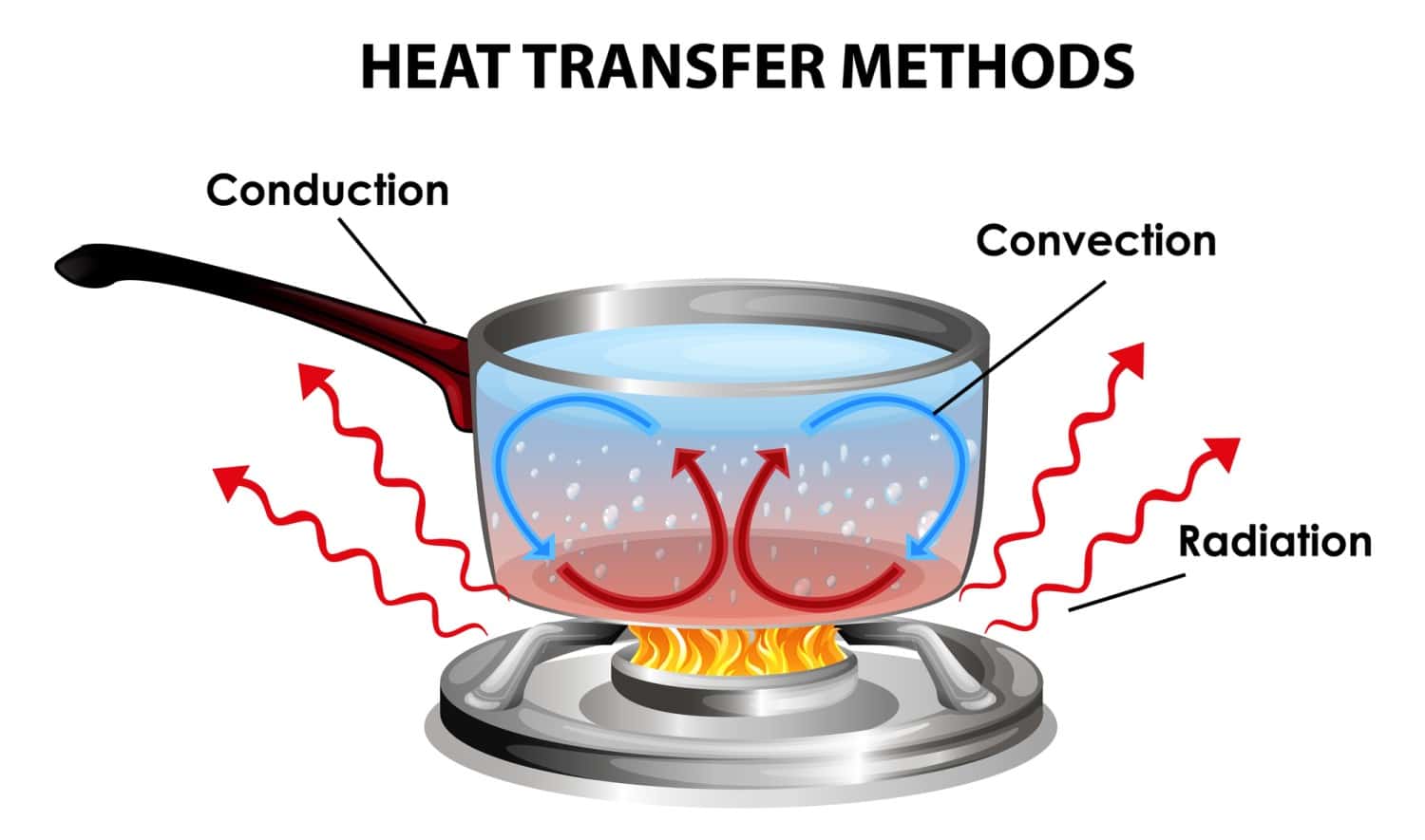 Convection Current Experiment - The Homeschool Scientist