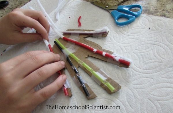 Make A Model Hand - The Homeschool Scientist