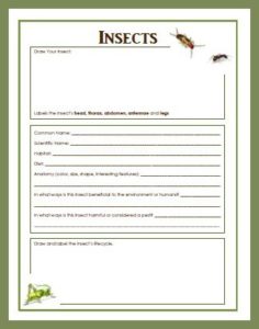 Insect Printable Worksheet - The Homeschool Scientist