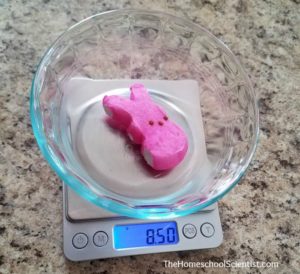 Peeps Science Experiment: Change In Mass - The Homeschool Scientist