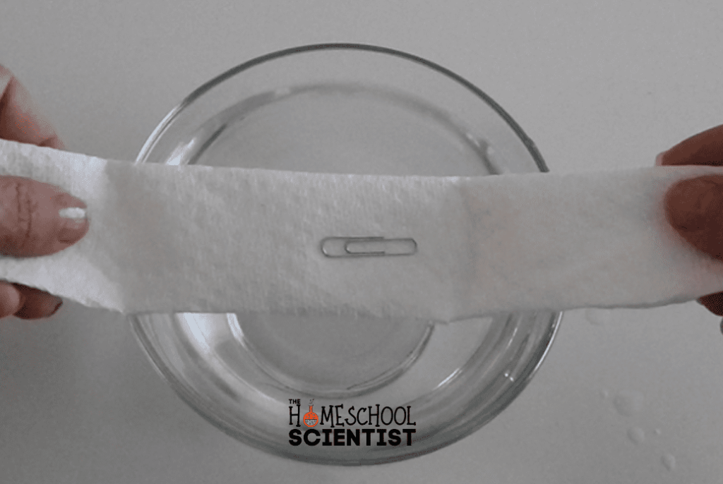 Surface Tension In Water Explanation and Experiment - The Homeschool ...