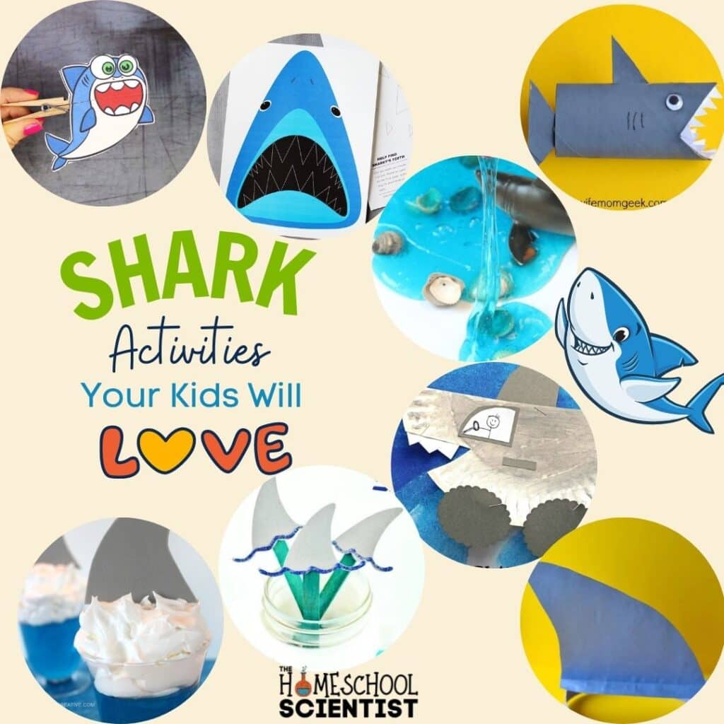 Shark Unit Study Links - The Homeschool Scientist