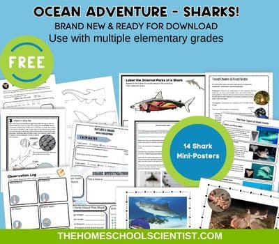 Shark Unit Study Links - The Homeschool Scientist