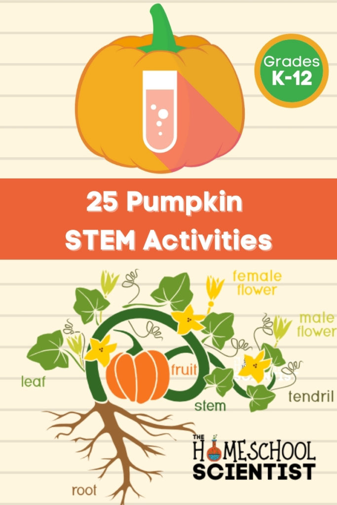 33 Engaging Pumpkin STEM Activities - The Homeschool Scientist