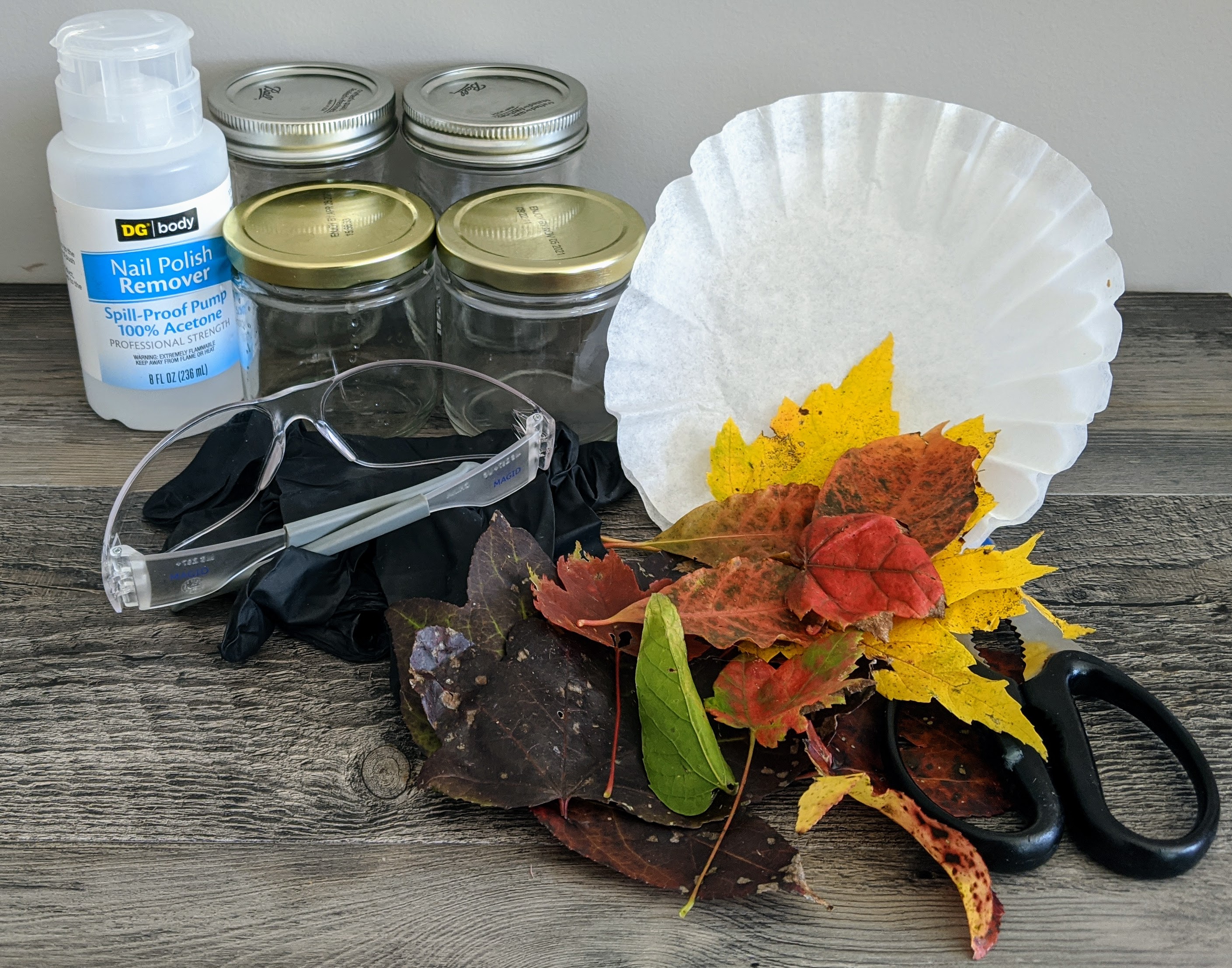Why Do Leaves Change Color in Fall For Kids Experiment and Worksheet ...