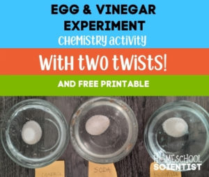 chemistry - The Homeschool Scientist