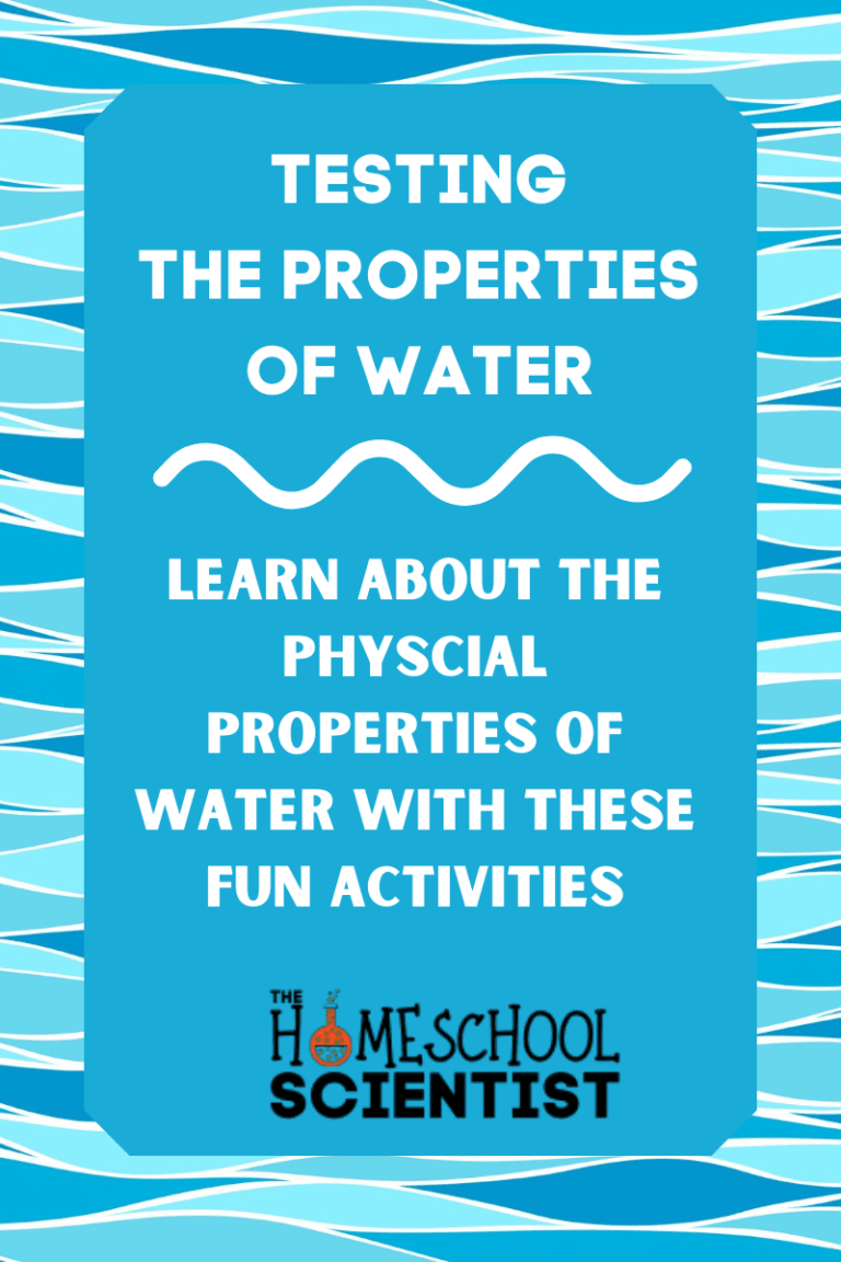 6 Quick Activities for Testing the Properties of Water