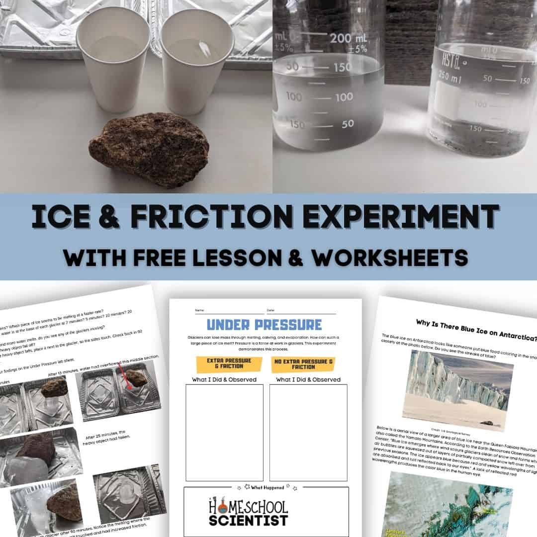 Ice and Friction Experiment - FREE Lesson