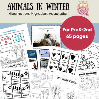 Learning From Nature: Winter Activities for Kids - The Homeschool Scientist