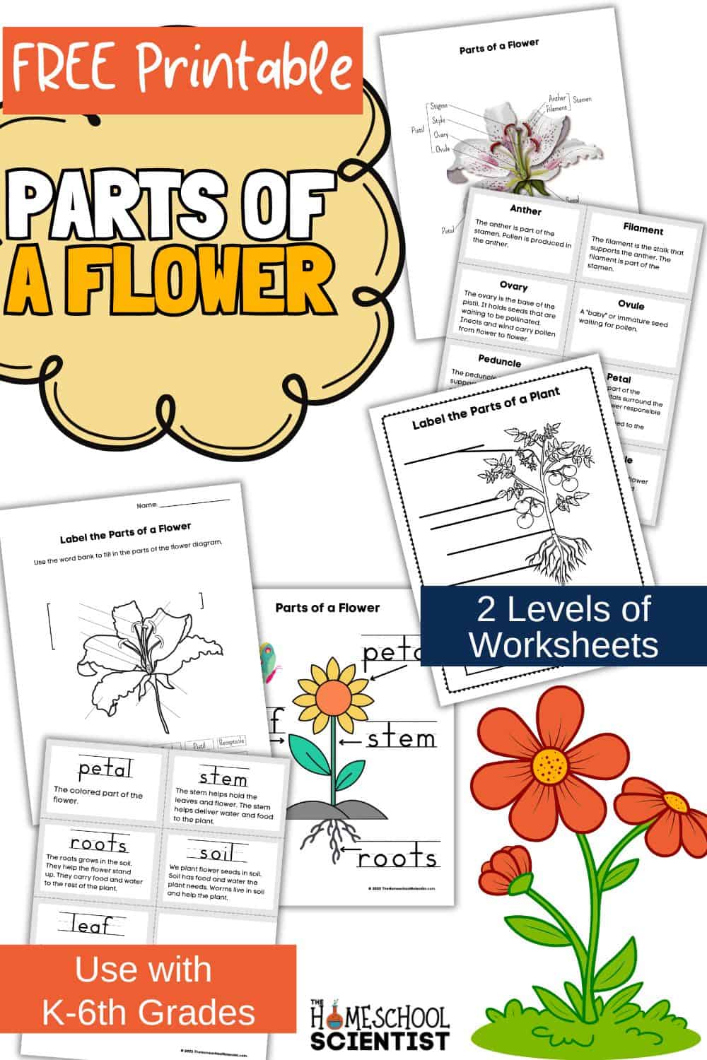 Parts Of A Flower Lesson Printable - The Homeschool Scientist