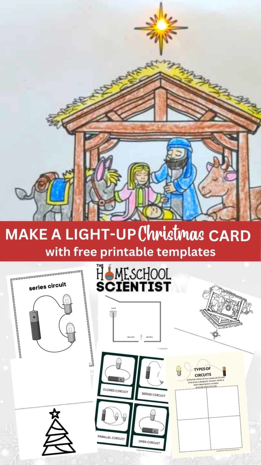16 Christmas STEM Activities & $200 Giveaway - The Homeschool Scientist