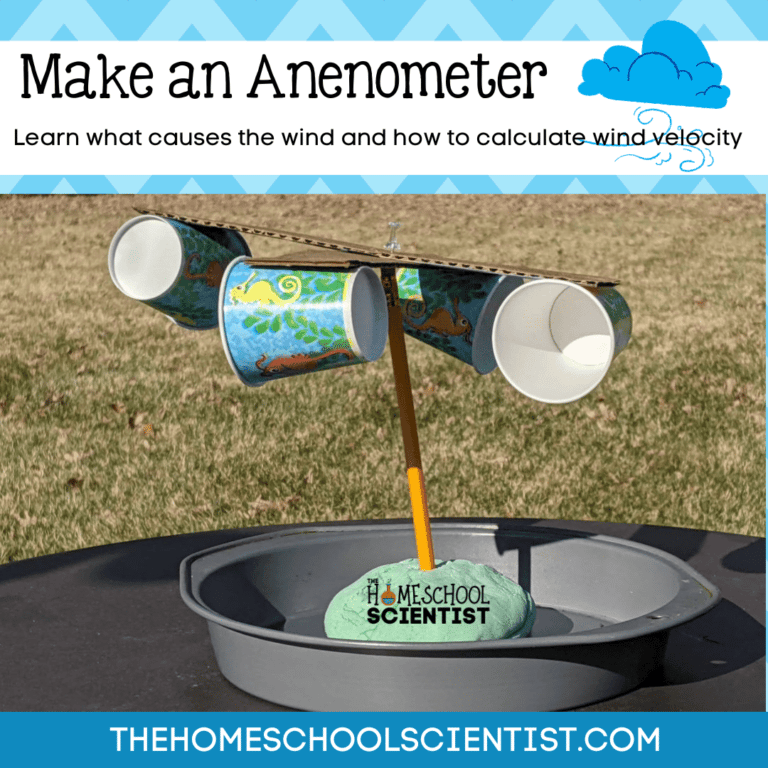 Make an Anemometer - The Homeschool Scientist