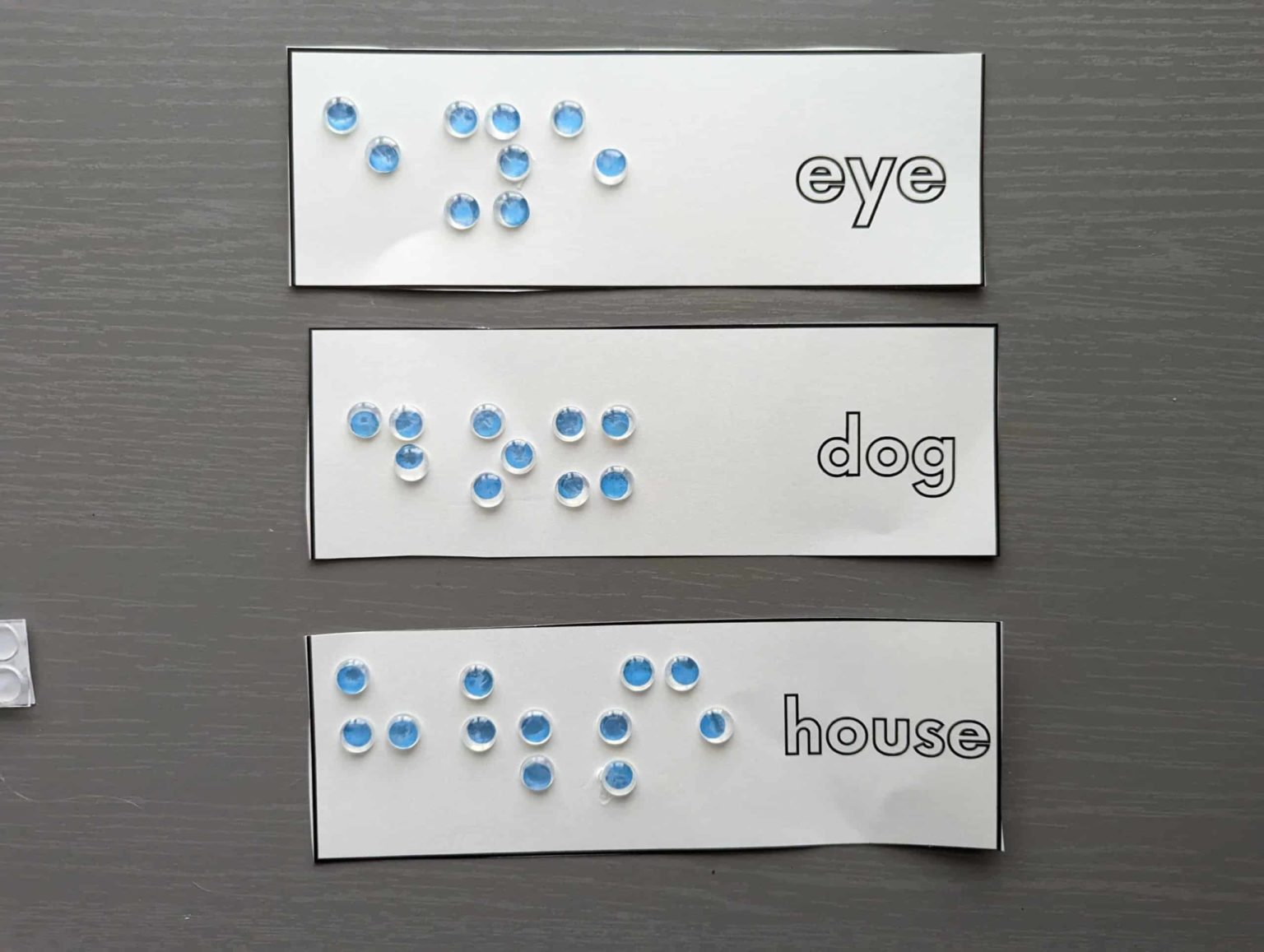 Braille Activity for Sighted Students - The Homeschool Scientist