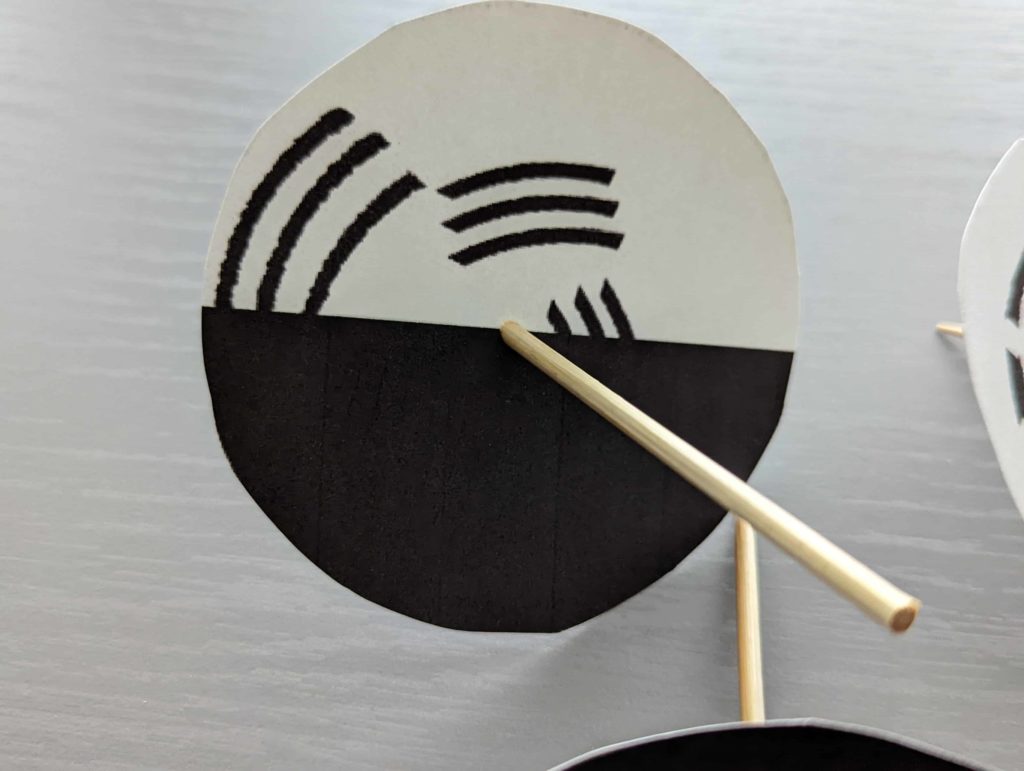 Make a Benham Disk - The Homeschool Scientist