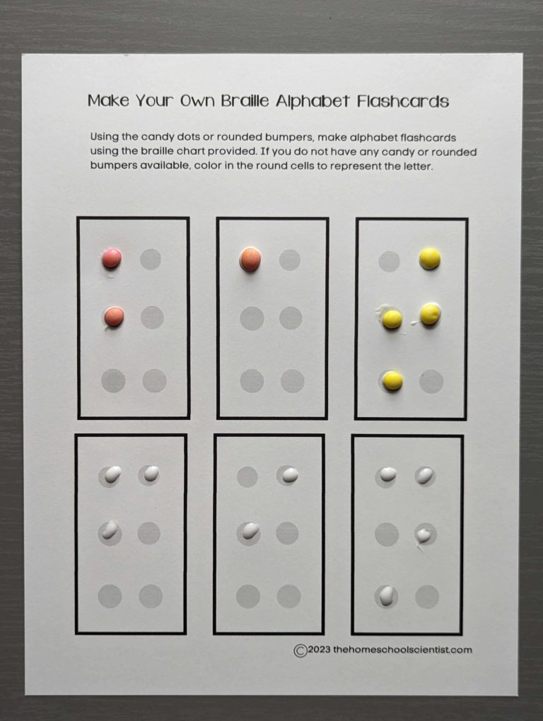 Braille Activity for Sighted Students - The Homeschool Scientist