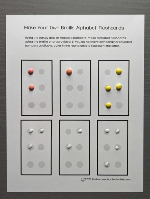 Braille Activity for Sighted Students - The Homeschool Scientist