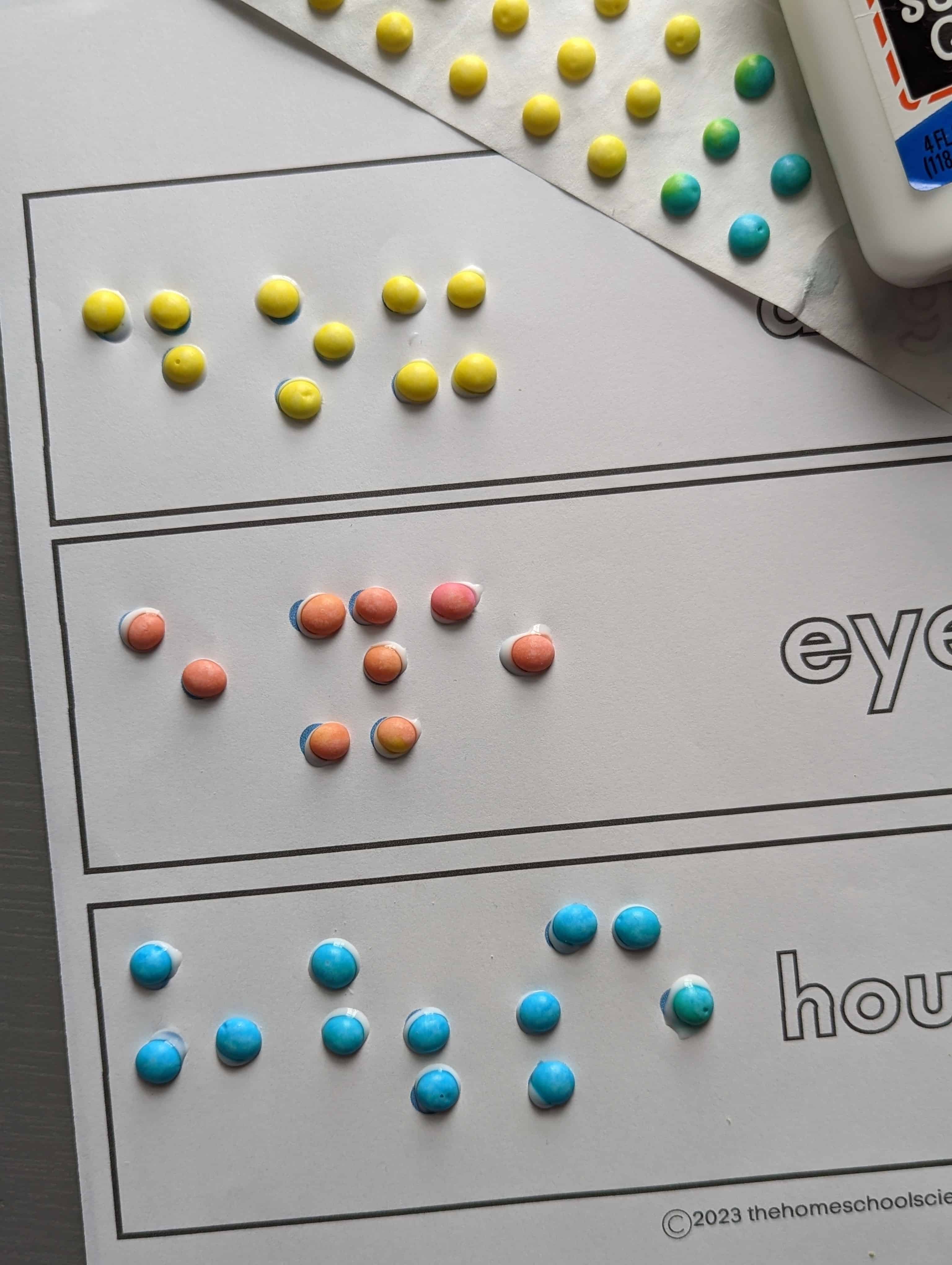 Braille Activity for Sighted Students - The Homeschool Scientist