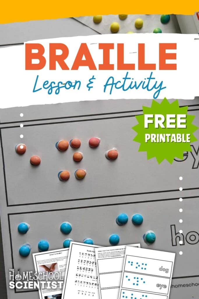 Braille Activity for Sighted Students - The Homeschool Scientist