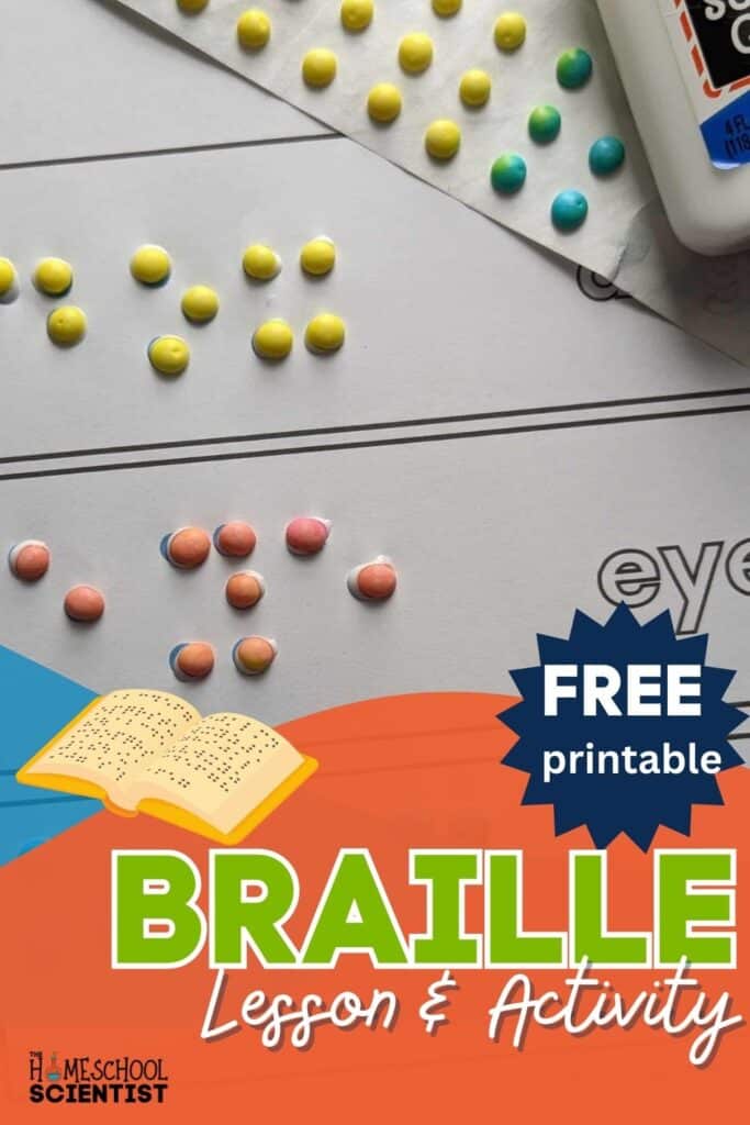 Braille Activity for Sighted Students - The Homeschool Scientist