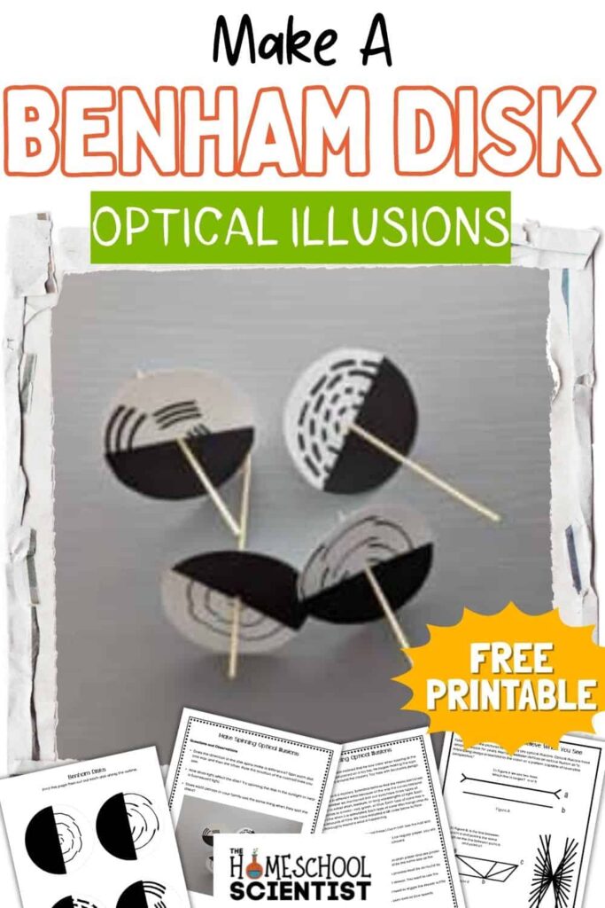 Make a Benham Disk - The Homeschool Scientist