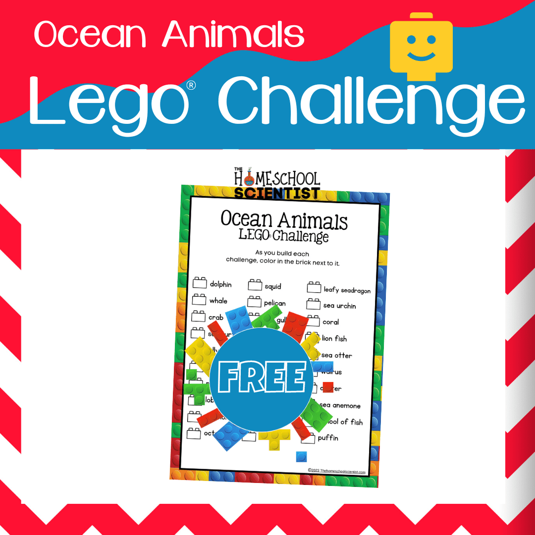 Ocean Themed Math Activities - The Homeschool Scientist