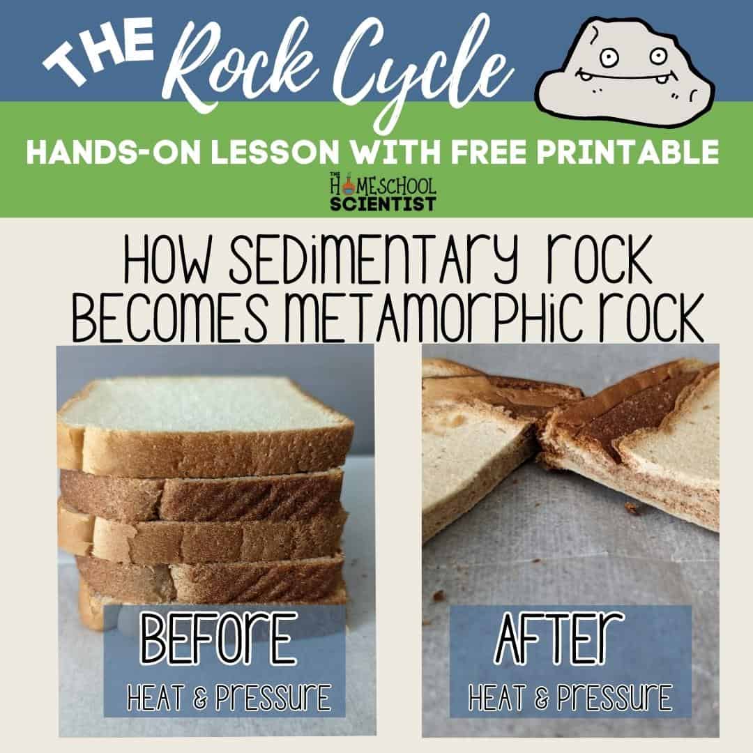 The Rock Cycle Explained - Activities & Worksheets - The Homeschool ...
