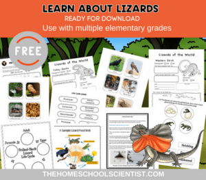 Home - The Homeschool Scientist