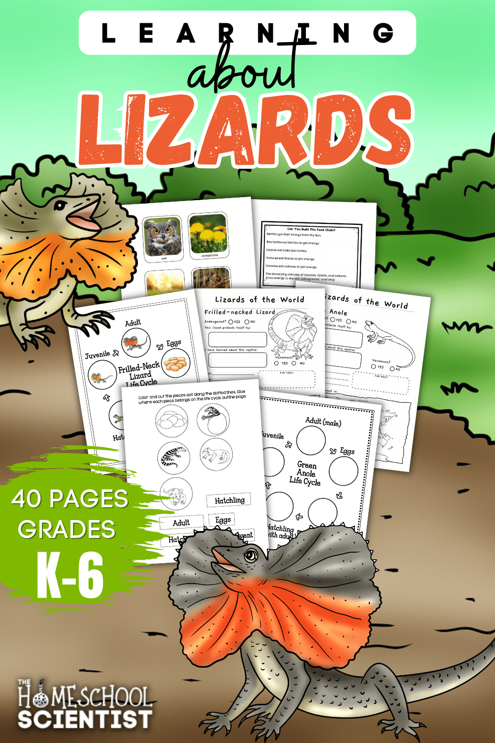 28 Reptile Facts and a FREE Lizard Printable - The Homeschool Scientist