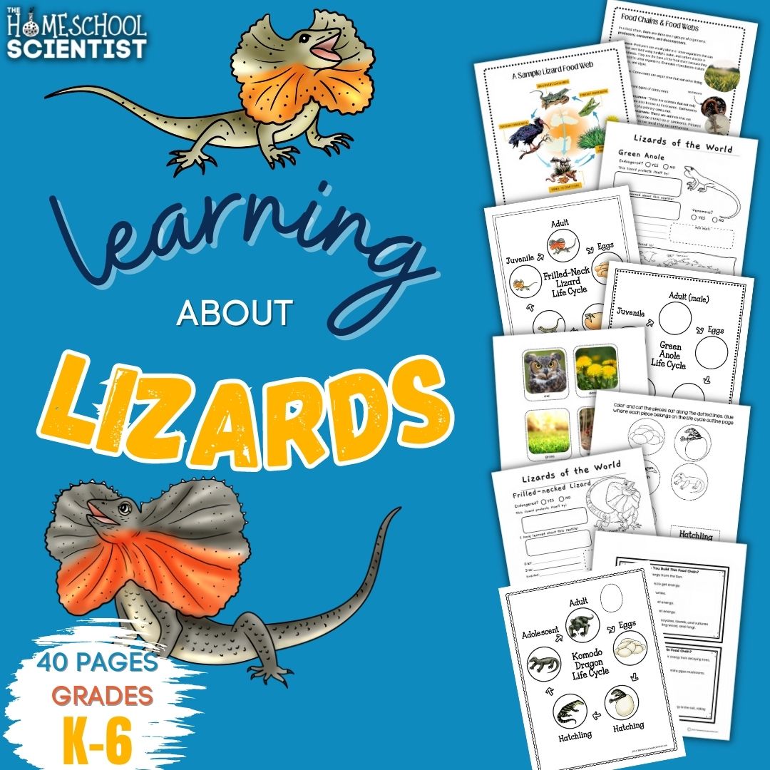 28 Reptile Facts and a FREE Lizard Printable - The Homeschool Scientist