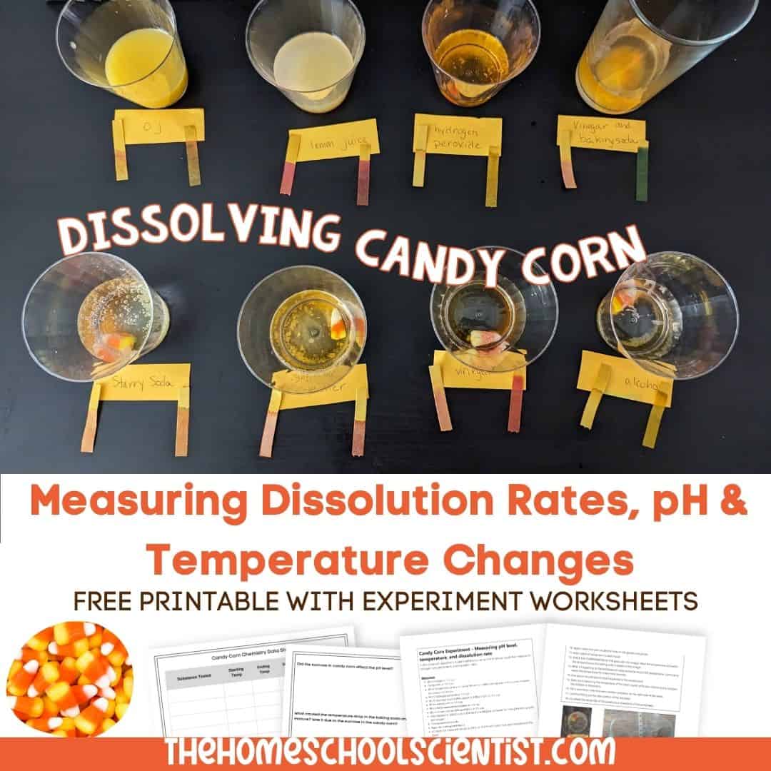 Candy Corn Experiment - 2 Age Levels - The Homeschool Scientist