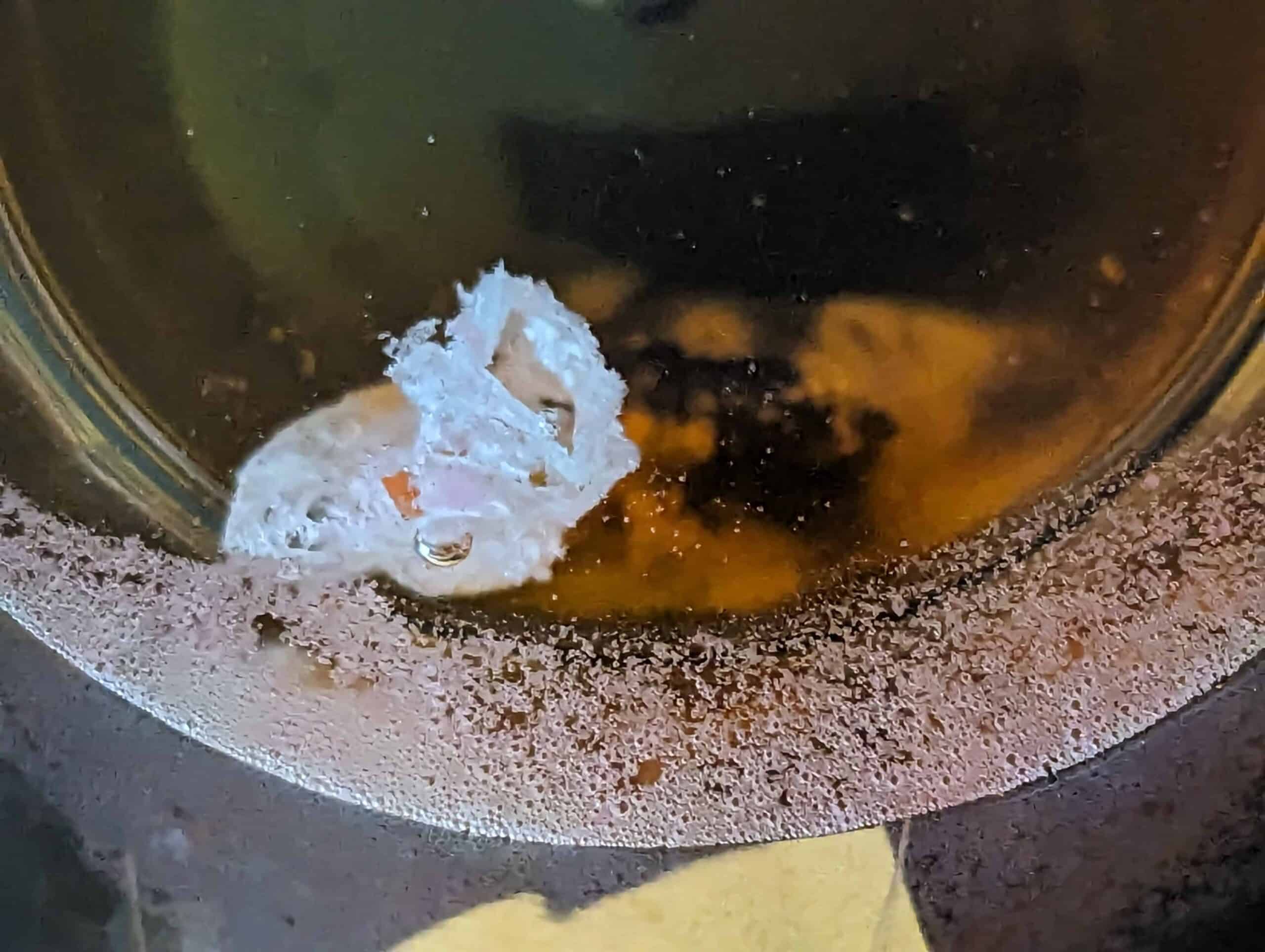 Candy Corn Experiment - 2 Age Levels - The Homeschool Scientist